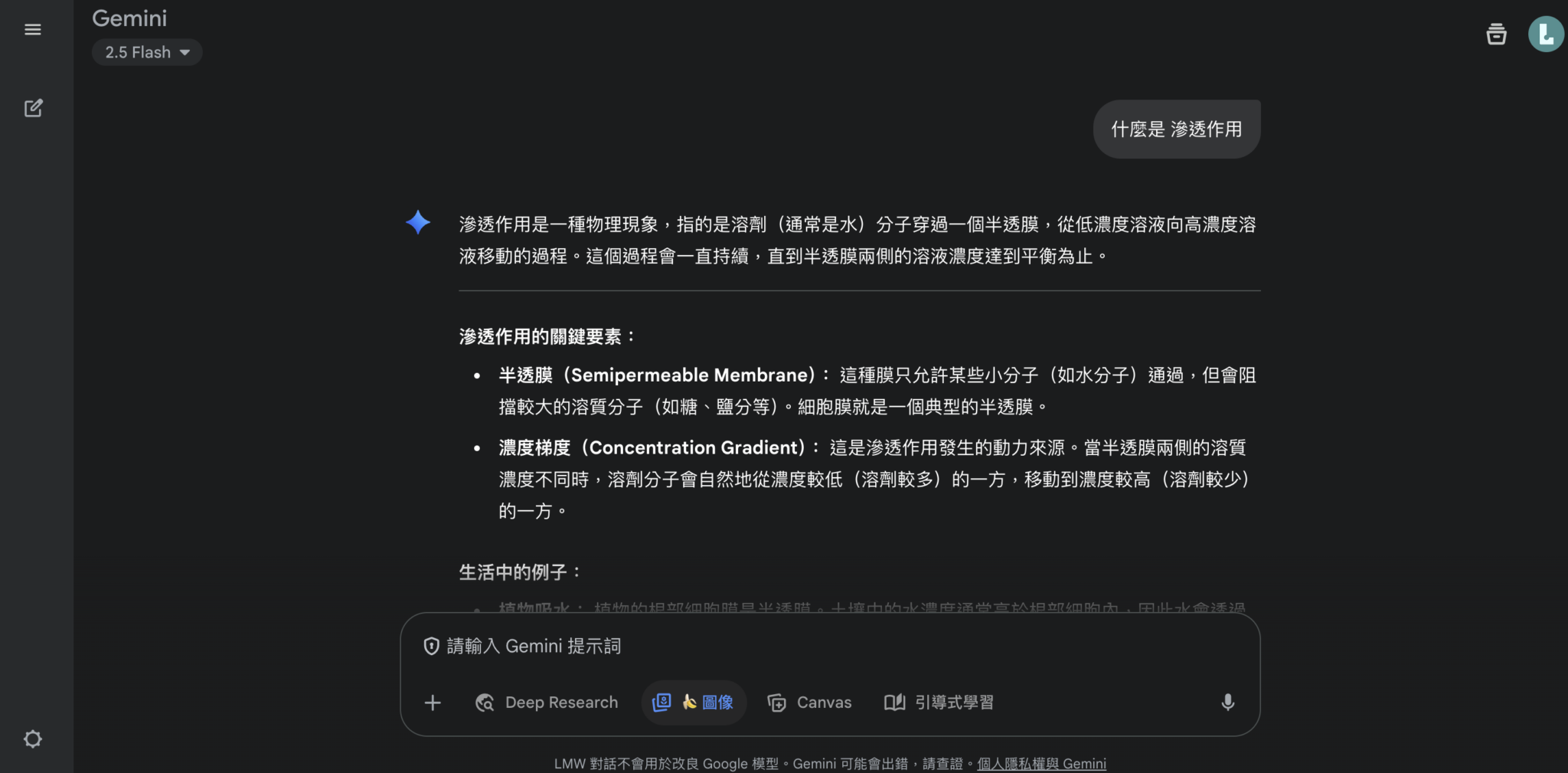 Google Gemini 功能淺談、實用prompt整理 及 如何於香港使用 › Label Li › 專案管理 | 系統設計諮詢 | 網絡 ...